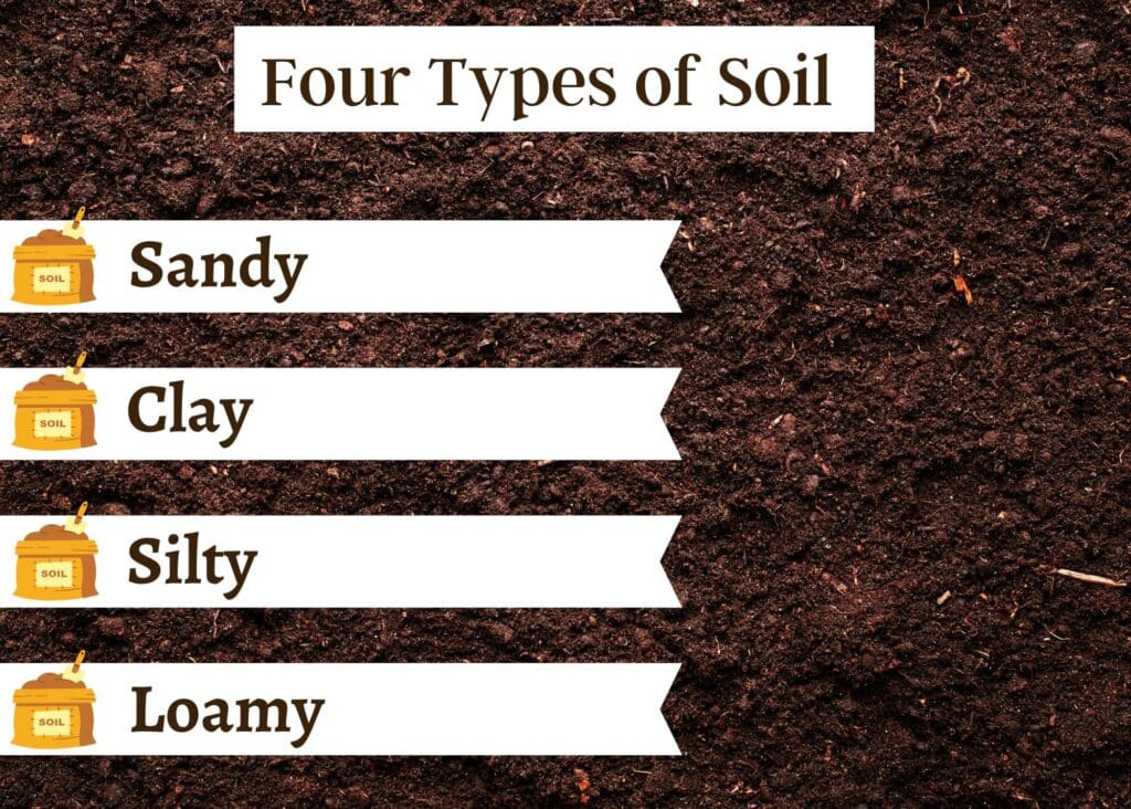 Is It Really Just Dirt? A Beginner’s Guide To Lawn Soil Types And ...
